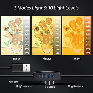 ESUE Idea Art Design Night Light for Kids or Family, Picture Desk Lamp, 8.6 inch Bedside Table Lamp, 3 Light Modes Dimmable Desktop LED for Living Room Home Office Gifts (VG-Sunflowers)