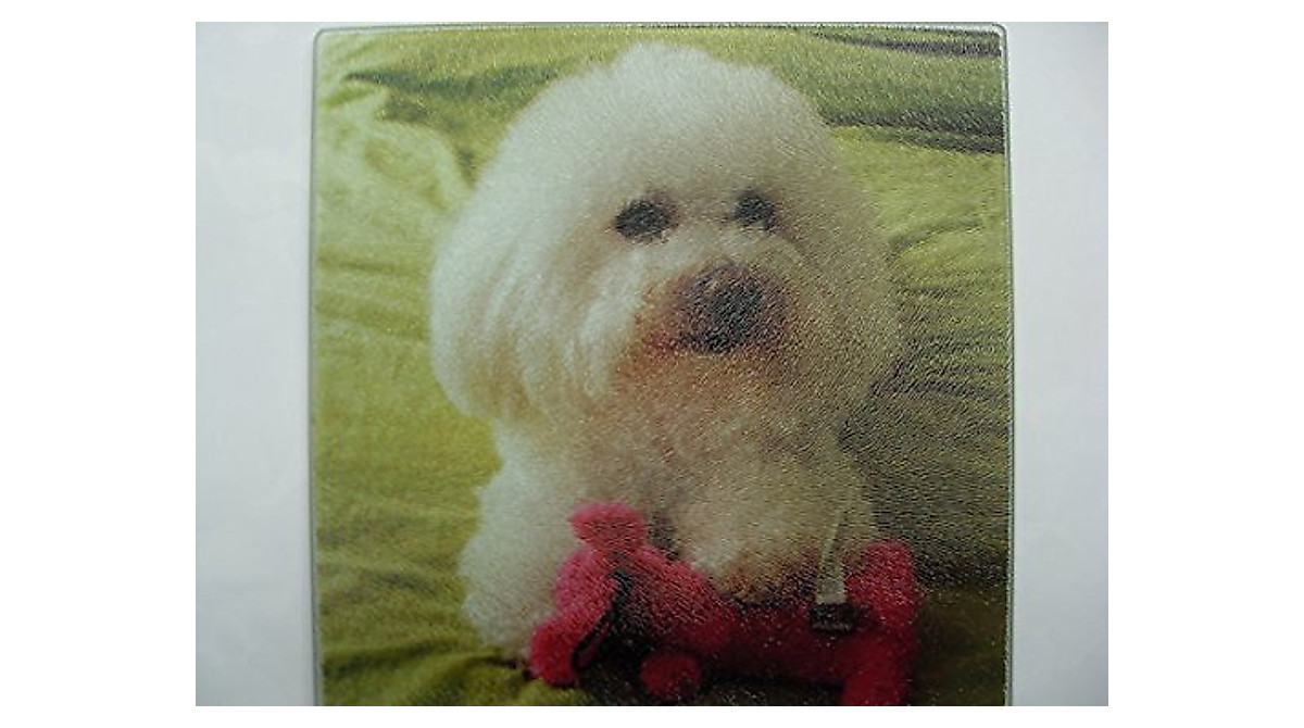 Shop Bichon Frise Cutting Board - Durable & Stylish