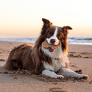 Dog Toys for Aggressive Chewers, Indestructible Dog Toys for Large Dogs, Dog Chew Toys for Large Medium Small Breed, 3 Pack Super Chewer Dog Toys with Tough Nylon, Gift for Dogs