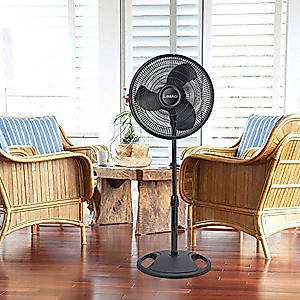 Lasko 16 Inch Oscillating 3 Speed Adjustable Pedestal Stand Fan, Black (2 Pack)