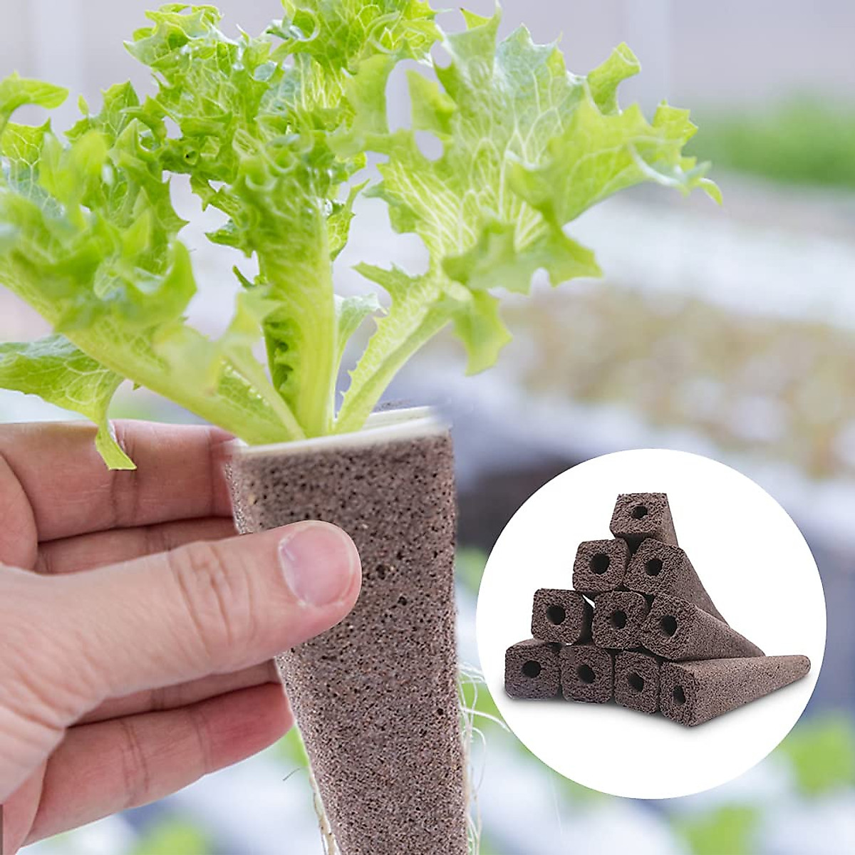 50 Pack Grow Sponges, Plant Seeding Starters Sponges Hydroponics Supplies, Plant Growing Plugs Sponges Seeding Pods for Planting, Hydroponics Pods for Hydroponic Indoor Garden(Brown)