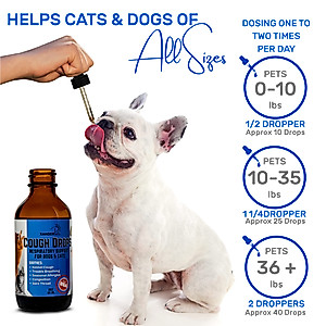 Dog Cough Treatment - Kennel Cough Treatment - Dog Allergy Relief - Itch Relief - Wet & Dry Cough Suppressant - for Dogs & Cats - XanderPets USA 1200 Drops