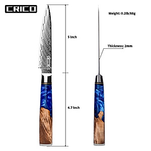 CRICO Paring Knife 5 inch, Kitchen Utility Knife, Fruit Paring Knives, VG10 Damascus Super Steel Forged 67-Layers, Full Tang Wood&Resin Handle, Gift Box - Flow Series