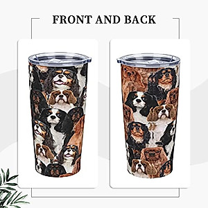 Funny Cavalier King Charles Spaniel Dog Face Cute Puppy Water Bottles - 20oz Tumbler Cups with Lid, Steel Straw and Brush Mug - Stainless Steel Vacuum Insulated Water Coffee Thermal Cup For Women Men