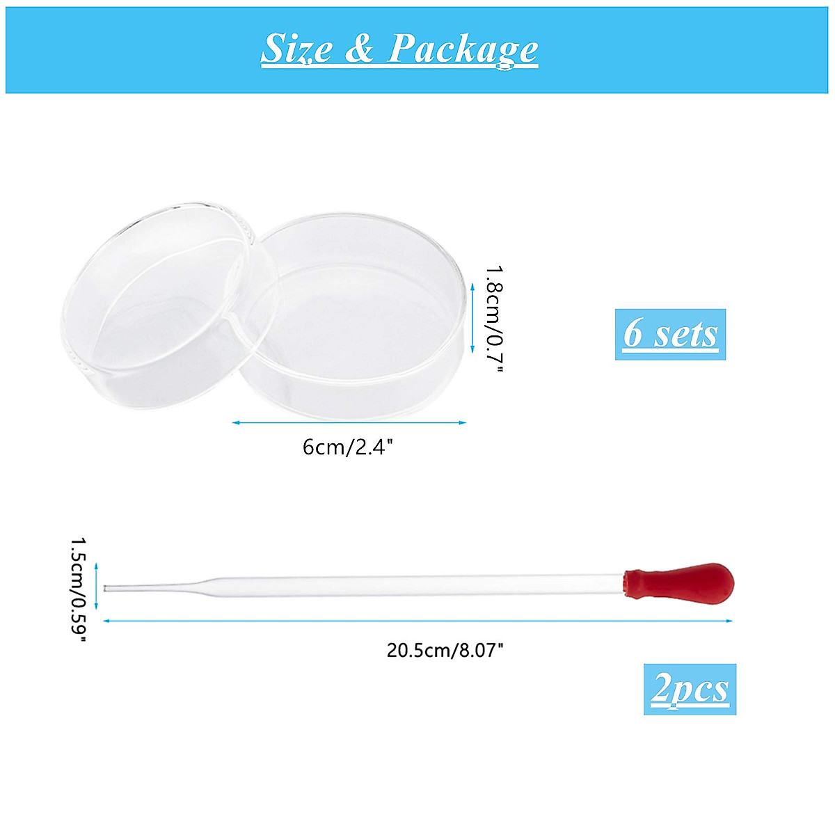 OLYCRAFT 6PCS Glass Petri Dishes High Borosilicate Glass Bacterial Culture Dishes with Lid 60mm Dia x 18mm Deep with 2pcs Glass Culture Plate for Laboratory School Science Project