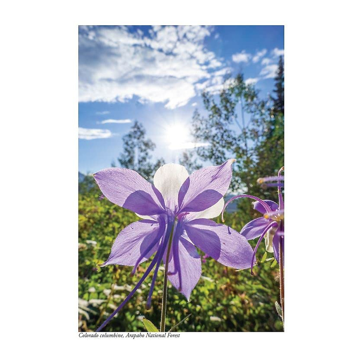 John Fielder's Colorado 2023 Scenic Engagement Calendar