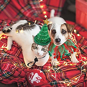 Christmas Dog Collar Hat Cat Costume 1 PCS Red Green Collar with 1 PCS Green Santa Hat Xmas Tree Headdress for Christmas Pet Decoration Holiday Dress