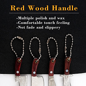 MOVNO Mini Pocket Knife Set Damascus Mini Utility Knife, Tiny Chef Knife with Sheath Cleaver for Package Opener Box Cutter, Camping Outdoor-4pcs-B