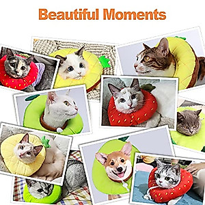 Arrozon Cat Cone Collar Soft Adjustable Cat Recovery Collar Kitten Cones After Surgery 3 Pcs Cute Pet Elizabeth Circle Soft Cone for Cats Small Dogs Pet Donut Collar