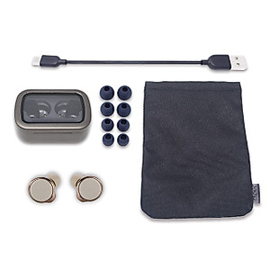 Cleer Audio Ally Plus, True Wireless Hybrid Noise Cancelling Earbuds with 30 Hour Battery, Water Resistant, Music & Calls (Warm Grey)