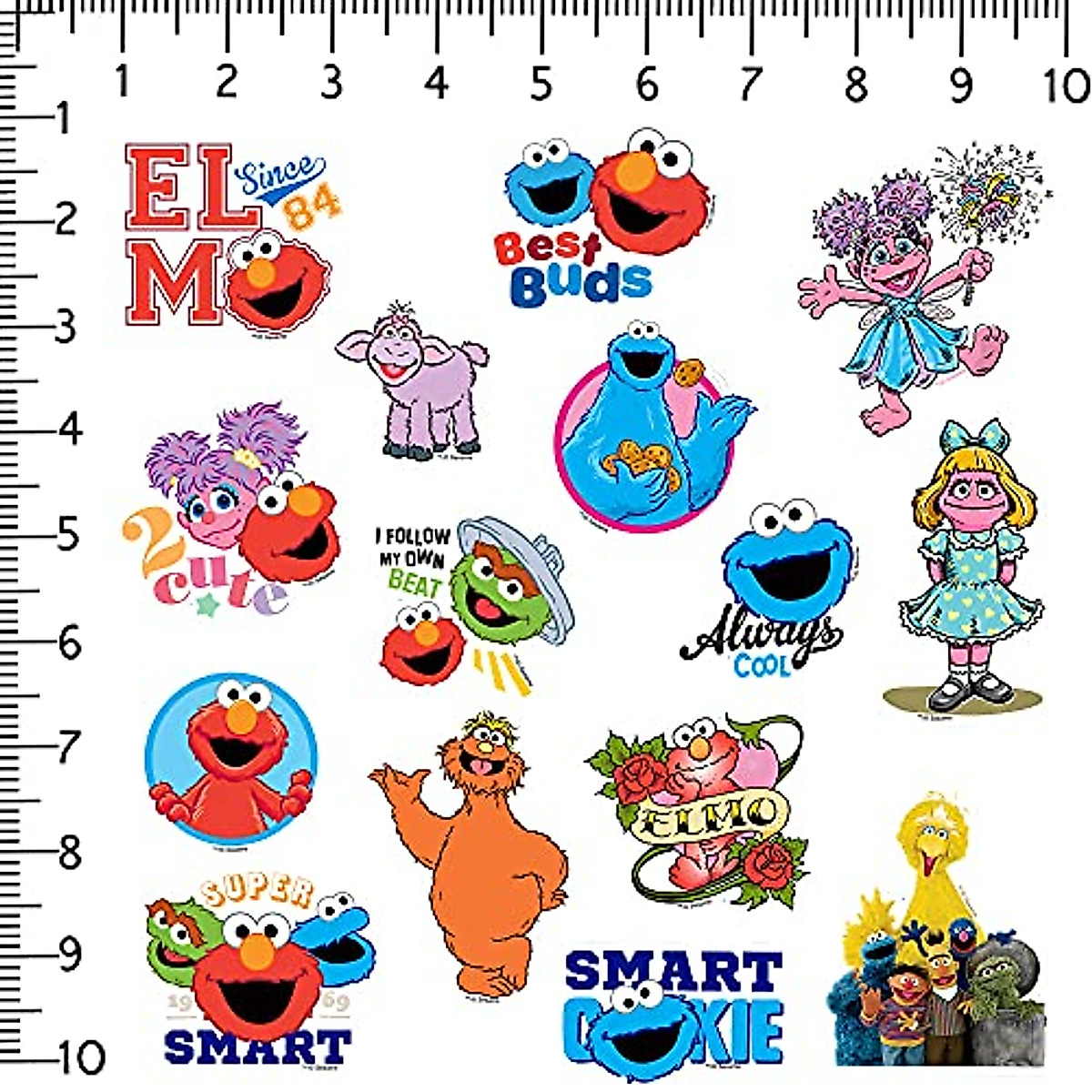 Sesame Street Sticker Pack Die Cut Vinyl Large Deluxe Stickers Variety Pack - Laptop, Water Bottle, Scrapbooking, Tablet, Skateboard, Indoor/Outdoor - Set of 50
