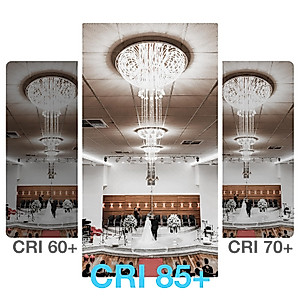 DAYBETTER G9 Led Bulb 12Pack 6000K Daylight White 4W, Equivalen G9 Halogen Light Bulb 40 Watt, T4 G9 Bi Pin Ceramic Base, 120V 450LM No-Flicker 360° Beam Angle Non-Dimmable, G9 Bulb for Chandeliers