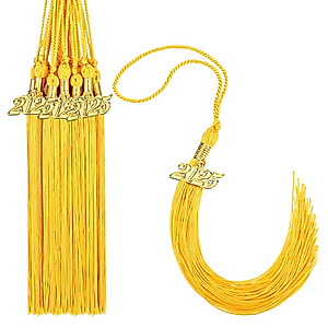 Boao 18 Pieces 2024 Graduation Tassel Academic Hat Tassels with 2024 Year Gold Date Pendants for Graduates Ceremonies Parties(Gold)