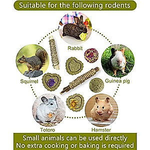 Guinea Pig Toys, Rabbit Toys for 100% Natural Materials, Rabbit Chew Toys for Rabbit Guinea Pig Teeth Grinding, Chinchilla Toys, effectivly Improve Dental Health, Relieve Anxiety (14 Pcs)