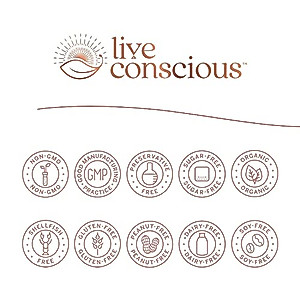 Organic Pea Protein Powder - Vanilla Dream Flavor | Low-carb Plant-Based Vegan Protein Blend - Pea, Brown Rice, Pumpkin, Sacha Inchi | 20 Servings 18.2 oz - by Live Conscious