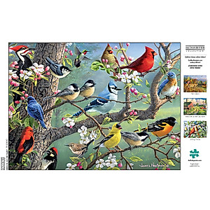 Buffalo Games - Hautman Brothers - Birds in an Orchard - 1000 Piece Jigsaw Puzzle
