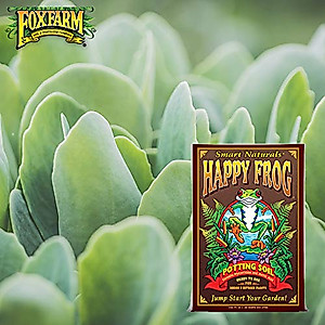 Fox Farm Happy Frog Organic Potting Soil, Growing Soil 12 Quart for Indoor and Outdoor Plants, Potted Plants, Container Gardening (Bundle with Pearsons Protective Gloves) 2 Pack of 12 Quart