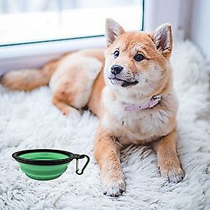 KlerRoem Collapsible Dog Travel Bowls, 2 Pack Dog Small/Large Travel Bowl Portable Foldable Pet Feeding Watering Dish for Traveling, Walking, Parking