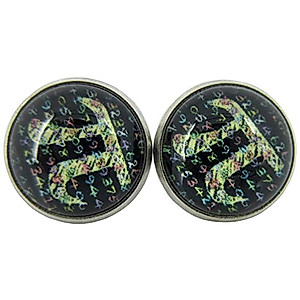 Stainless Steel Pi Print Glass Stud Earrings 12mm