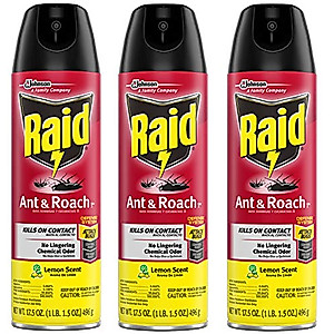 Raid Ant & Roach Killer Lemon Scent 1.09 Pound (Pack of 3)