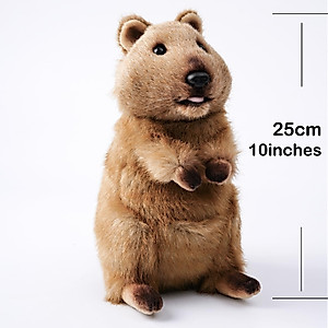 keaiart-ly Cute Quokka Stuffed Animal Plush Toy, Australia Animal Plushie, Cuddly Quokka Doll-10 inches