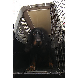 SWEETER HEATER Infrared Heater for Chicks & Pets, Flush Mount 11x40, 150 Watt