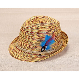 FALETO Hat Feathers 12 Pcs Assorted Natural Feather Packs Accessories for Hats & Fedoras