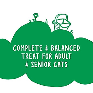 Friskies Party Mix Crunch Variety Pack (6 Fun Flavors 2.1 oz each) - Picnic, Beachside, Cheezy Craze, Original, California Dreamin', and Meow Luau