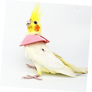 Housoutil 8 Pcs Bird Neck Collar Pet Recovery Neck Collar Elizabethan Collar Pet Bird Collar Cat Licking Cone Bird Supplies Bird Elizabeth Circle Zeedog Rabbit Korean Velvet Soft Collar