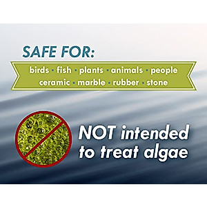 Bird Bath & Fountain Maintenance - (8 Ounces) - Fast-Acting Enzyme-Based Formula Will Extend The Life of Your Water Feature, Aid in Maintaining a Balanced Ecosystem - Safe for All Birds & Animals