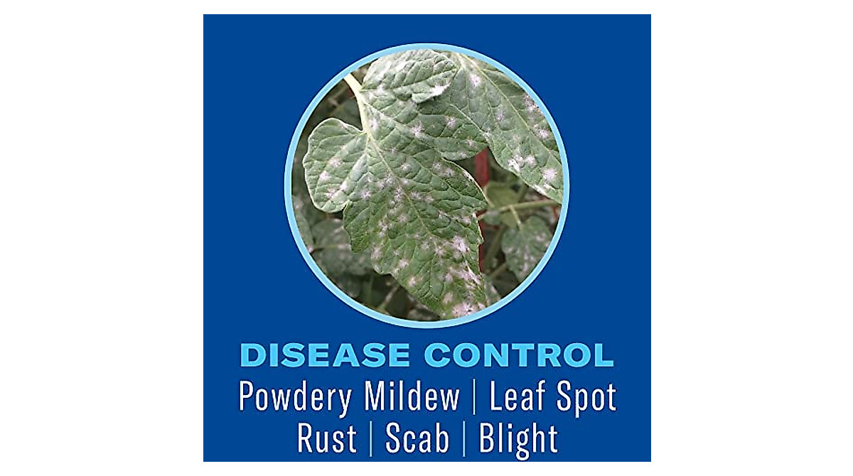 BioAdvanced: Houseplant Insect & Mite Control + Plant Food Spikes