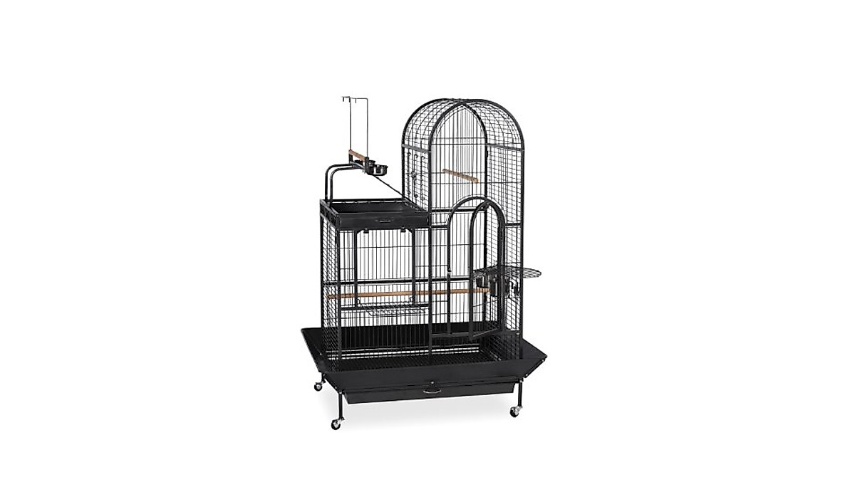 Double Roof Bird Cage with Playtop for Happy Birds
