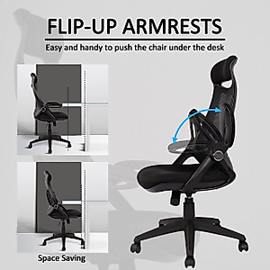 HYLONE Office Desk Chair Ergonomic, Mesh Computer Chair with Headrest, Flip Up Arms, Lumbar Support, Height Adjustable (Black)