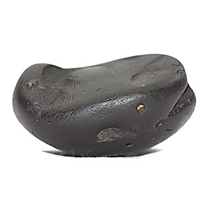 Rudrakshguru TriVikrama Shaligram - Gandaki River Nepal