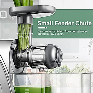 Cold Press Juicer, Aobosi Slow Masticating Juicer Machines with Reverse Function, Quiet Motor, High Juice Yield with Juice Jug & Brush for Cleaning, Gray