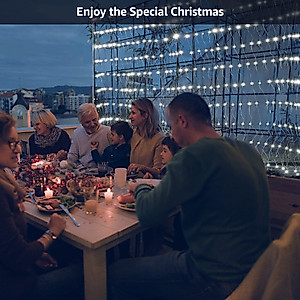 BlcTec Christmas Net Lights 200 LED 8.2ft x 4.9ft Outdoor Christmas Bush Lights with 8 Modes, Timer, Connectable, Waterproof and Green Wire for Trees, Bushes, Christmas Decorations, Cool White