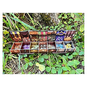 Familiar Tales Board Game - Cooperative Deck-Building Fantasy Adventure! Strategy Game for Kids & Adults, Ages 8+, 1-4 Players, 45+ Minute Playtime, Made by Plaid Hat Games