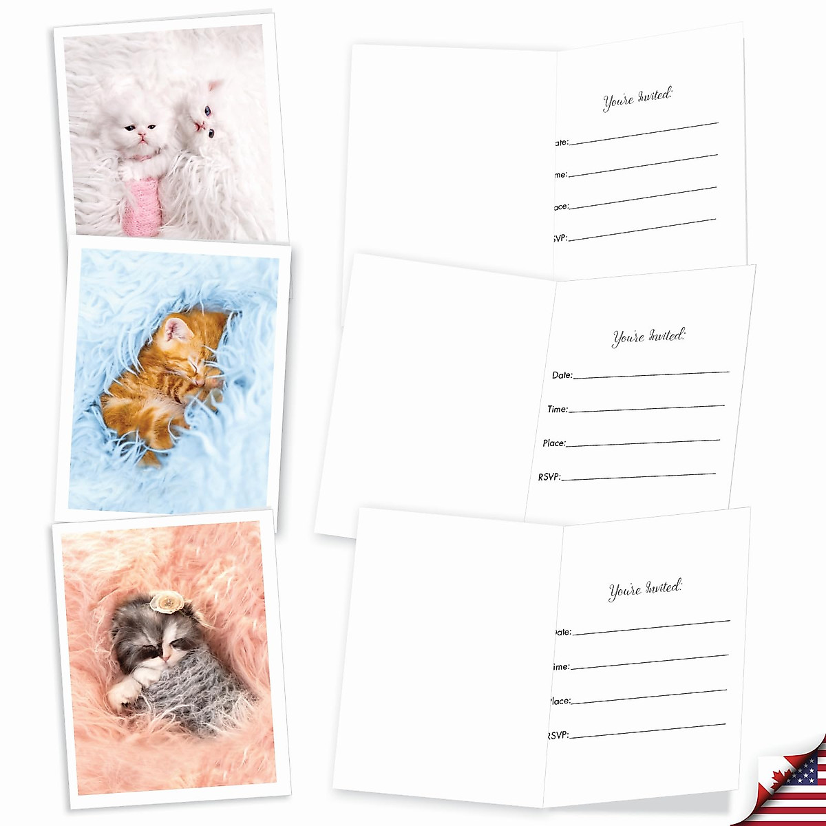 The Best Card Company - 20 Kids Invitation Note Cards with Envelopes (4 x 5.12 Inch) - Box of Assorted RSVP Invites (10 Designs, 2 Each) - Fluffy Furballs AM7168ING-B2x10