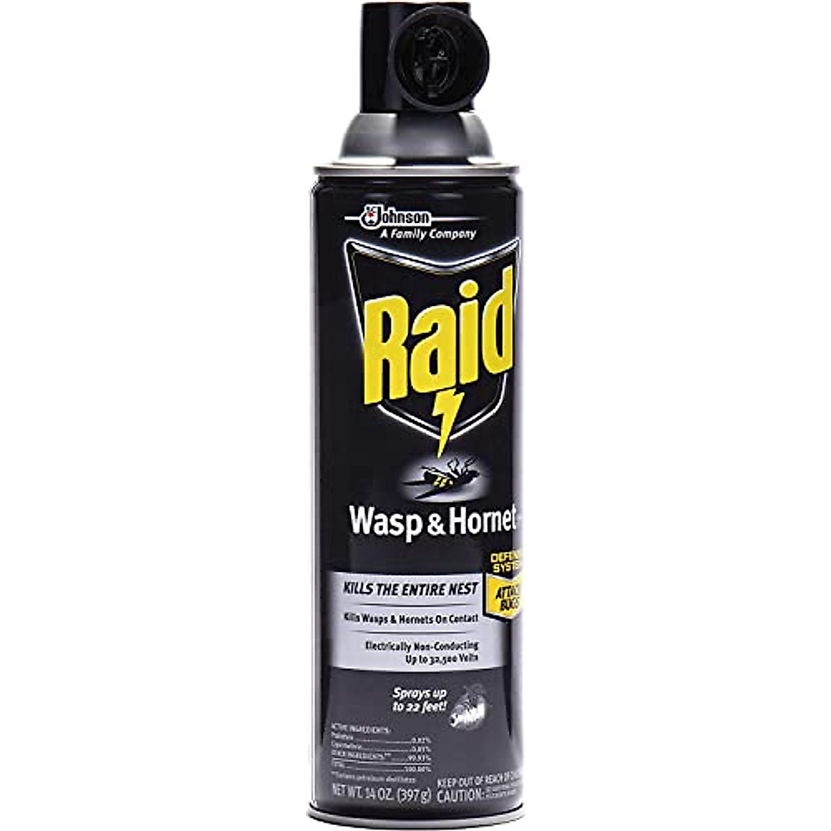 Raid Wasp and Hornet Killer (17.5 Ounce (Pack of 1))