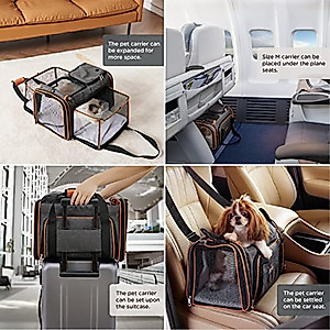 Lesure TSA Airline Approved Cat Carrier - Expandable Pet Carrier, Travel Pet Carriers for Small Dogs, Soft-Sided Puppy Carriers with Sherpa Pad, 18x11x11 inch