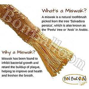 30 Pcs Al Falah Siwak Meswak Miswak Miswak Arak Peelu Al Falah Chewing Stick With Natural Flavor Organic Herbal Toothbrush Vacuum Sealed Breath Freshener Thirty Tooth Sticks Plus 1oz / 28 gm Cloves