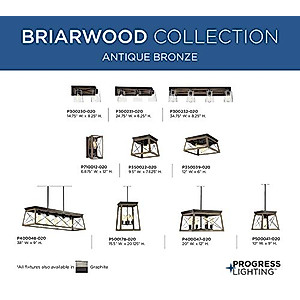 Progress Lighting P500178-020 Briarwood Hall & Foyer, Bronze