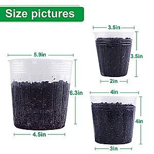Bluepro Plant Nursery Pots 6/4/3 Inch 20pcs Labels, Transparent Plastic Planter with Drainage Hole for Indoor Succulent, Seed Starting Pot Flower Plant Container for Seedlings, Cuttings 36 Packs