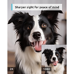 blurams Pet Camera 2K, 360° Indoor Security Camera, Dog Camera with Phone App, PTZ Cameras for Home Security Indoor, 2-Way Audio, Motion Tracking, Color/IR Night Vision, Siren, Cloud&SD(2.4GHz Only)