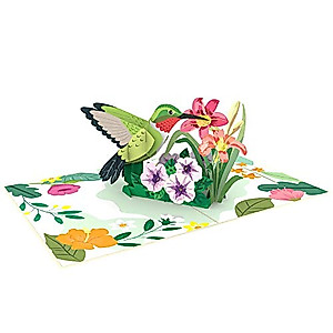 Liif Hummingbird Mother's Day 3D Greeting Pop Up Card Card For All Occasions, Father's Day, Happy Birthday, Anniversary, Retirement, Thinking Of You, Get Well, Hummingbird Gifts For Women, Bird Lover
