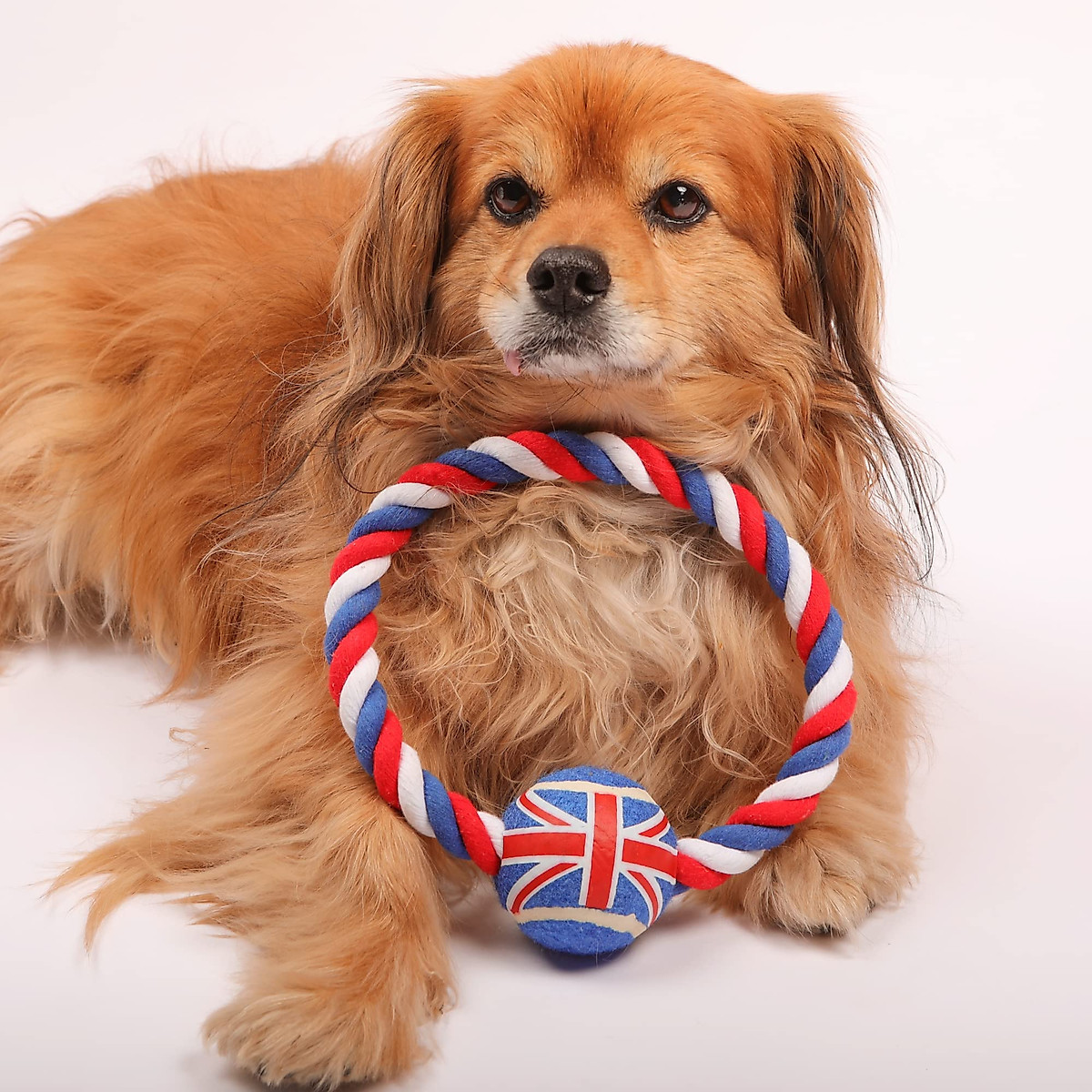PET LONDON British Union Jack Rope Ring and Tennis Ball Dog Toy-English UK Colours for Dogs