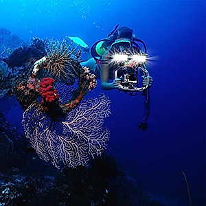 Suptig Mount Light Adapter Cold Shoe Mount Adapter Compatible for SLR Camera Gopro Camera Suptig Light and Other Action Cameras (2 Pack) Black