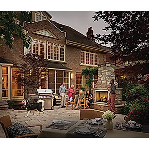 65 Inch Grill Cover, Heavy Duty Waterproof BBQ Grill Cover, Special Fade and UV Resistant Material, Durable and Convenient, Rip Resistant, Fits Grills of Weber Char-Broil Nexgrill and More