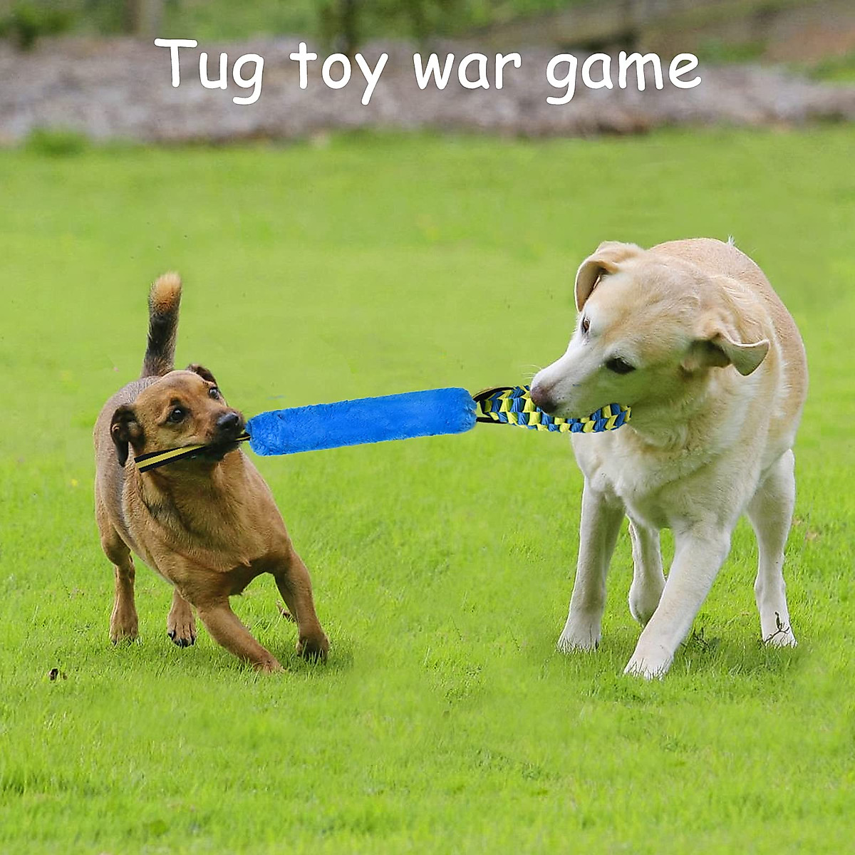 ELEGX Interactive Dog Bungee Toy with Squeaky Sound, Ideal for Aggressive Chewers & Dog Teeth Cleaning, Suitable for Small to Large Breeds