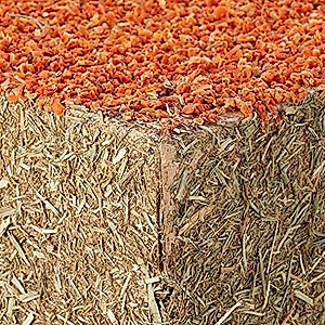 Rosewood Naturals Carrot Cottage Hamster House, Medium